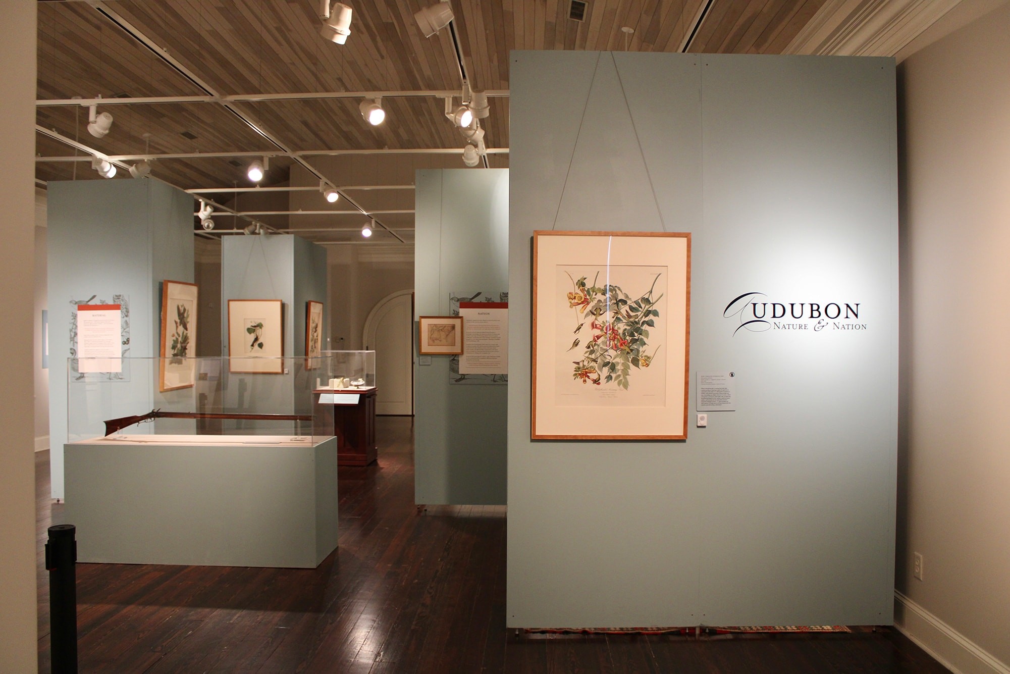 Audubon: Nature & Nation - James K. Polk Museum. Columbia, TN